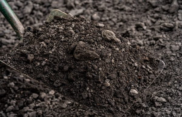 What Are Scalpings Used for? - Niayesh Stone blog